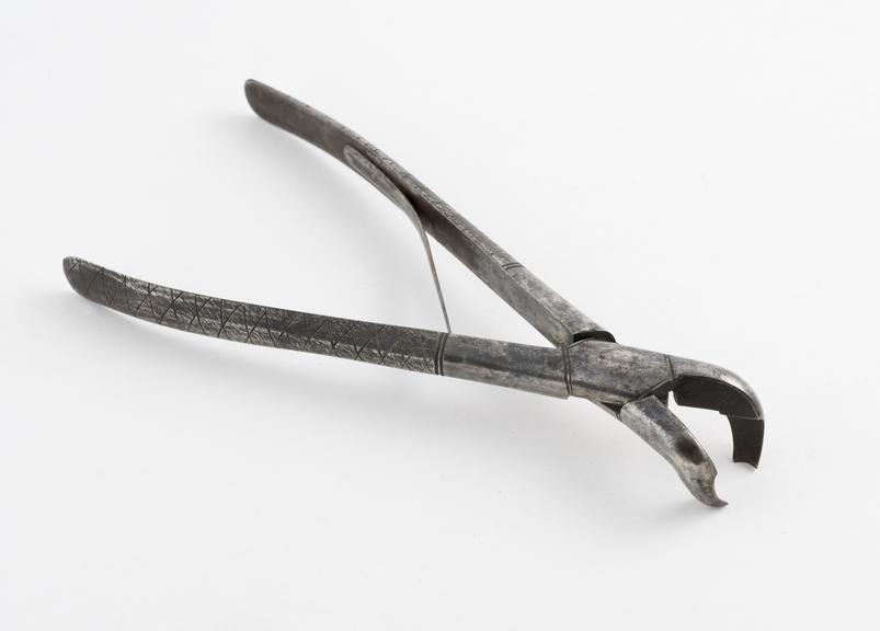Lower bicuspid dental forceps | Science Museum Group Collection