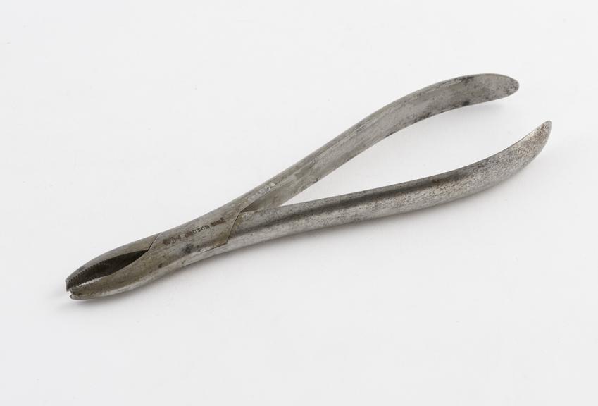 Dental forceps | Science Museum Group Collection