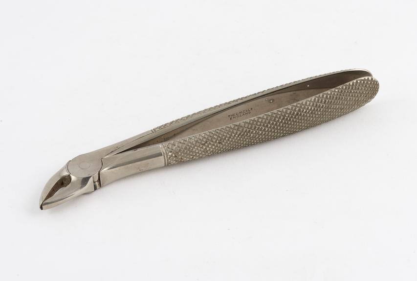 Dental forceps | Science Museum Group Collection