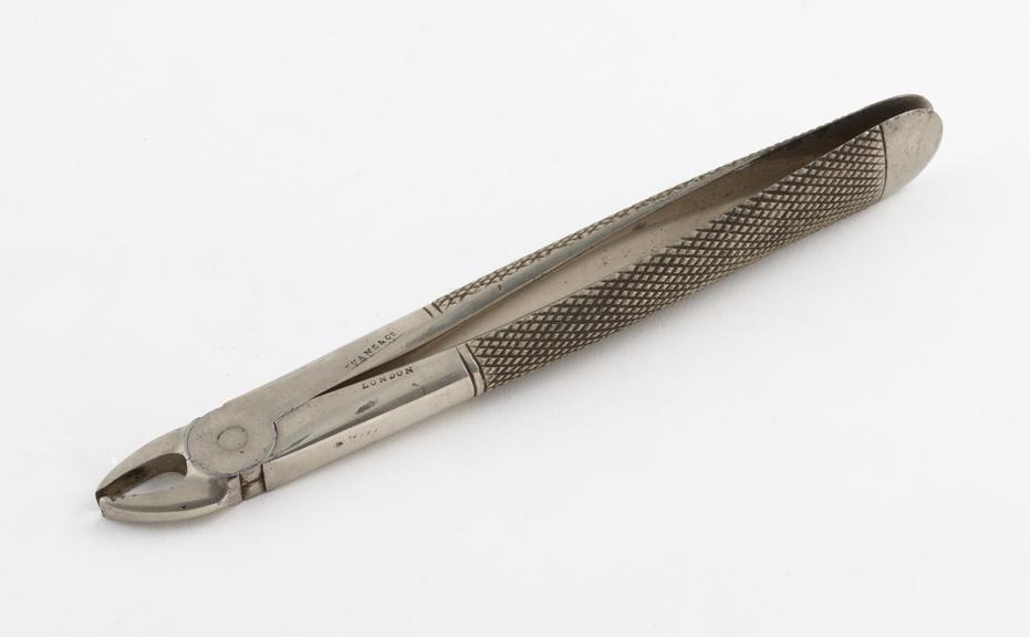 Dental forceps | Science Museum Group Collection