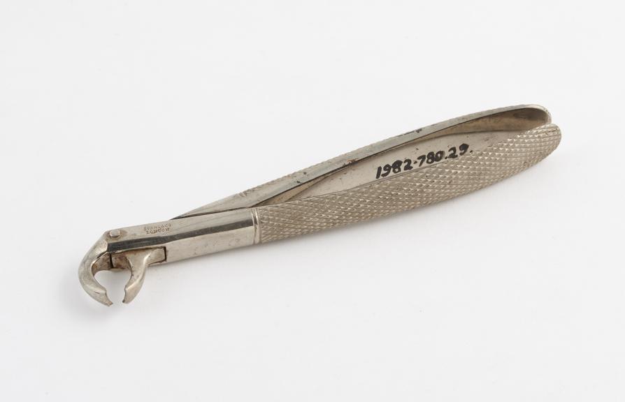 Lower molar dental forceps | Science Museum Group Collection