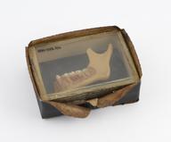 Wax anatomical model | Science Museum Group Collection