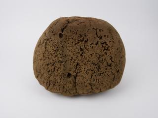 Honeycomb sponge | Science Museum Group Collection