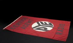 PYE Advertisement | Science Museum Group Collection