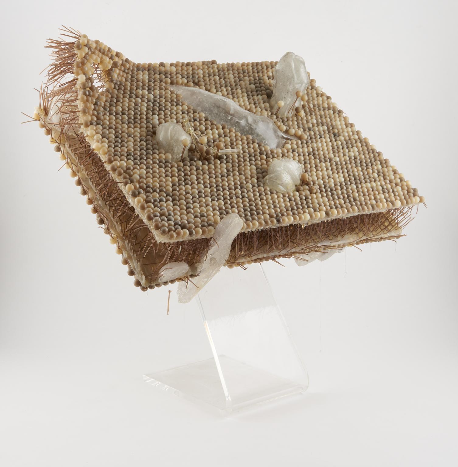 Model of a cell plasma membrane | Science Museum Group Collection