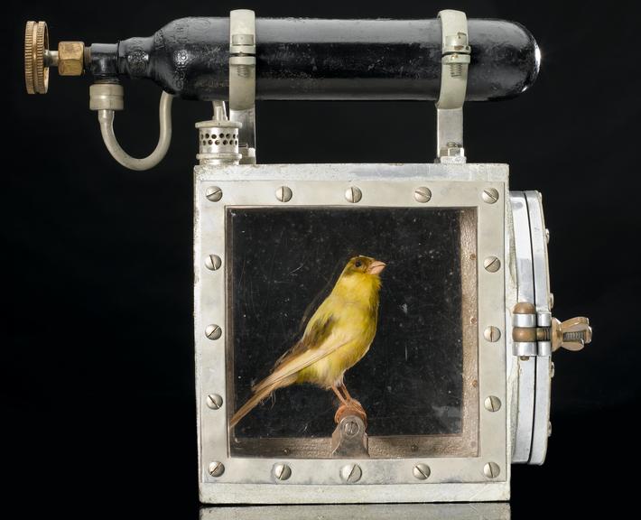 Canary resuscitator | Science Museum Group Collection