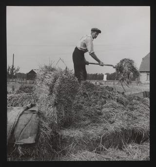 Daily Herald Photograph: Farming, Preparing Compost | Science Museum ...