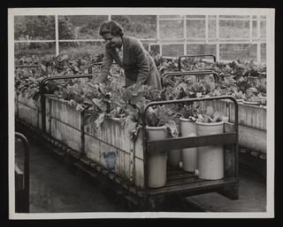A photographic print of Industry, Agriculture, Research and Scientific ...