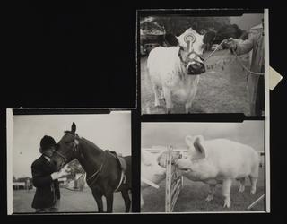 A photographic print of Industry, Agriculture, Shows - Royal Norfolk ...
