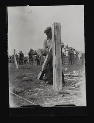 A photographic print of Industry, Agriculture, Shows - Royal Welsh ...