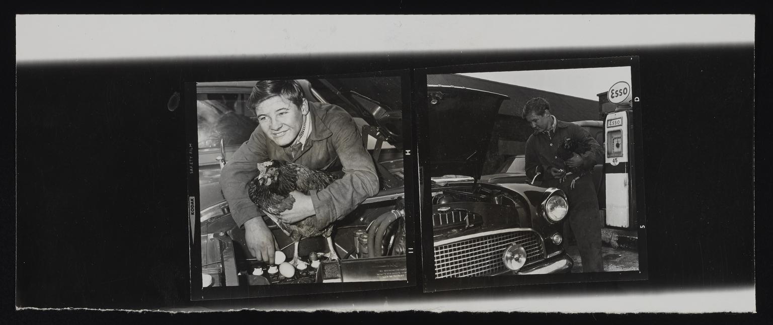 Daily Herald Contact Sheet: Chicken Found Under Car Bonnet | Science ...