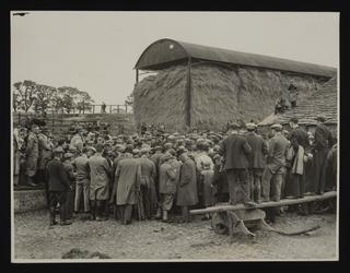 A photographic print of Industry, Agriculture, Tithe War - Sales ...