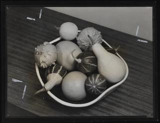 Daily Herald Photograph: Gourds and squash | Science Museum Group ...