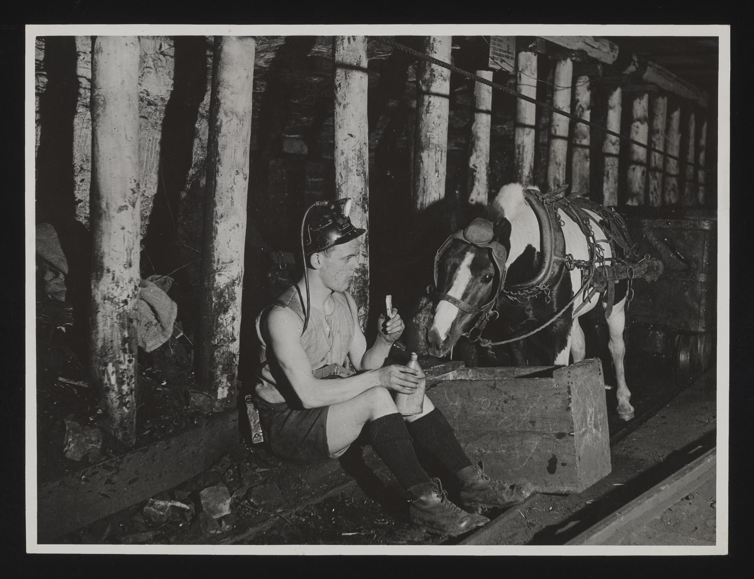 A photographic print of Industry, Fuel & Power - Coal, Pit Ponies ...