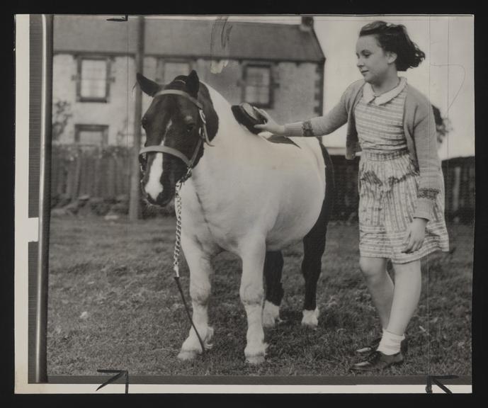 A photographic print of Industry, Fuel & Power - Coal, Pit Ponies ...