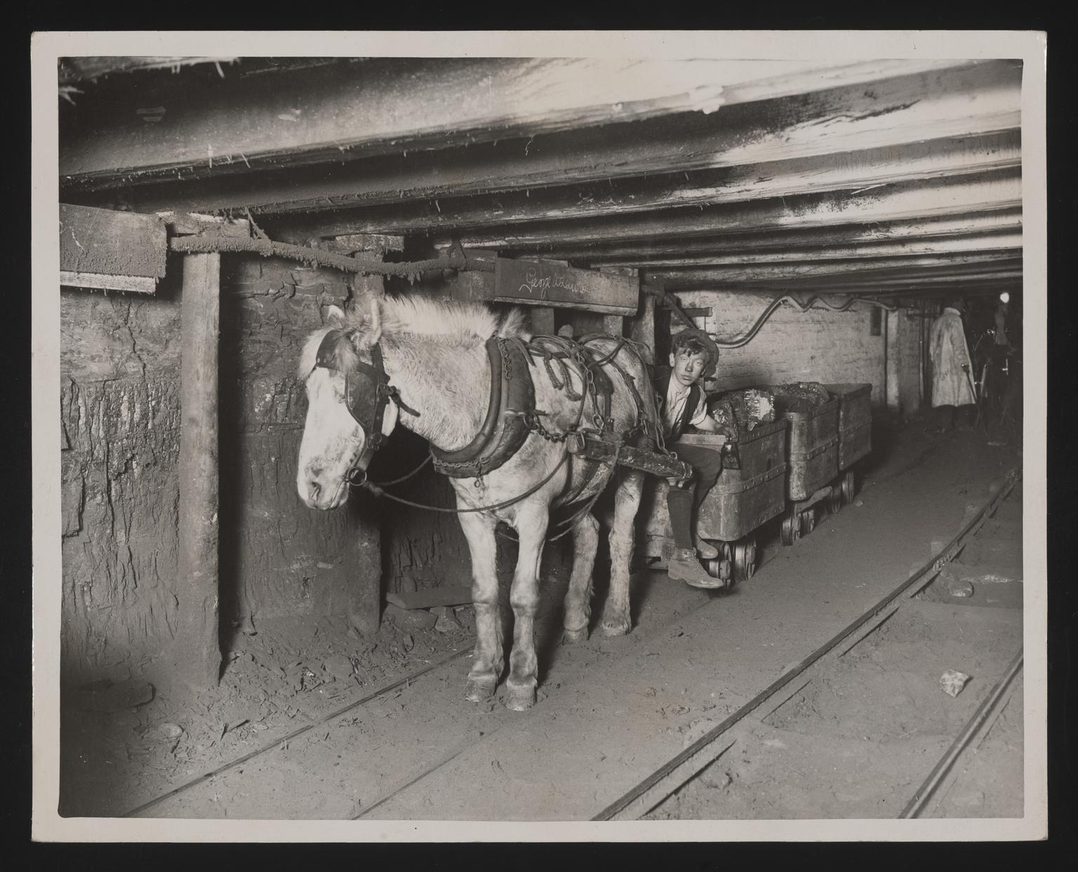 A photographic print of Industry, Fuel & Power - Coal, Pit Ponies ...