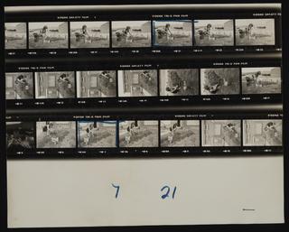 A photographic print of Housing, Post War, Houses - Flats, Maisonettes ...