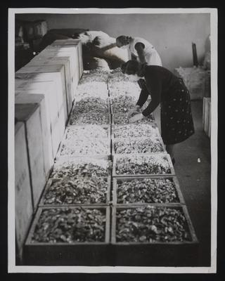 A photographic print of Industry, Metal, Miscellaneous - Scrap Metal ...