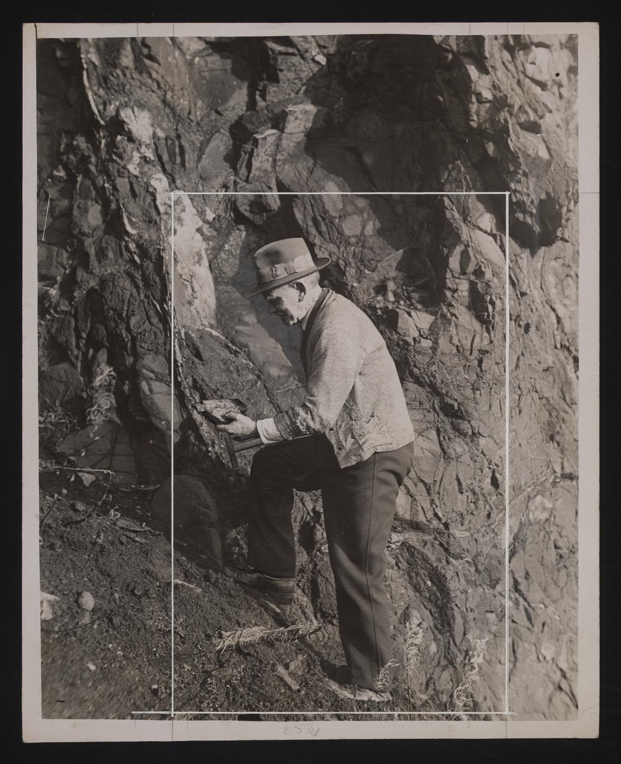 A photographic print of Industry, Metals, Gold - Gilding | Science ...