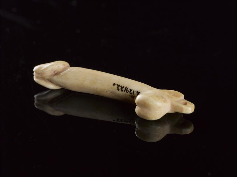 Bone erect phallus | Science Museum Group Collection