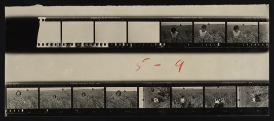 A photographic print of Industry, Agriculture, Harvesting - Grain ...