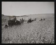 A photographic print of Industry, Agriculture, Harvesting - Grain ...
