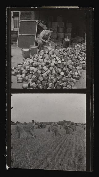 A photographic print of Industry, Agriculture, Harvesting - Grain ...