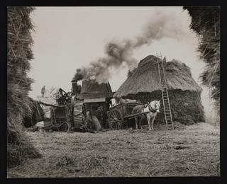 A photographic print of Industry, Agriculture, Harvesting - Grain ...