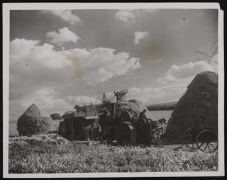 A photographic print of Industry, Agriculture, Harvesting - Grain ...