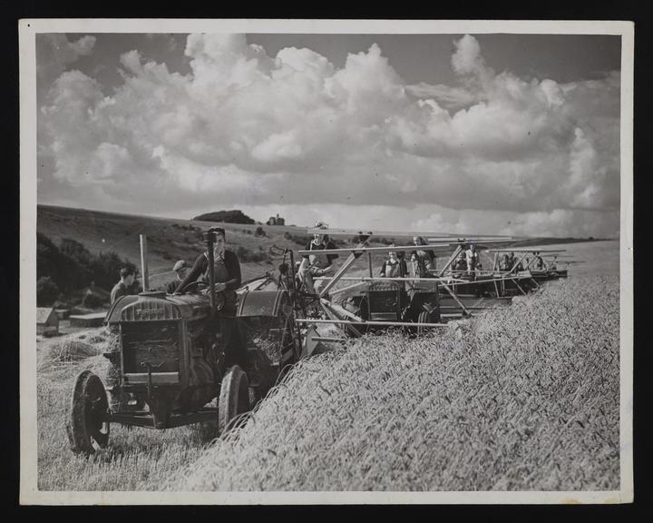 A photographic print of Industry, Agriculture, Harvesting - Grain ...