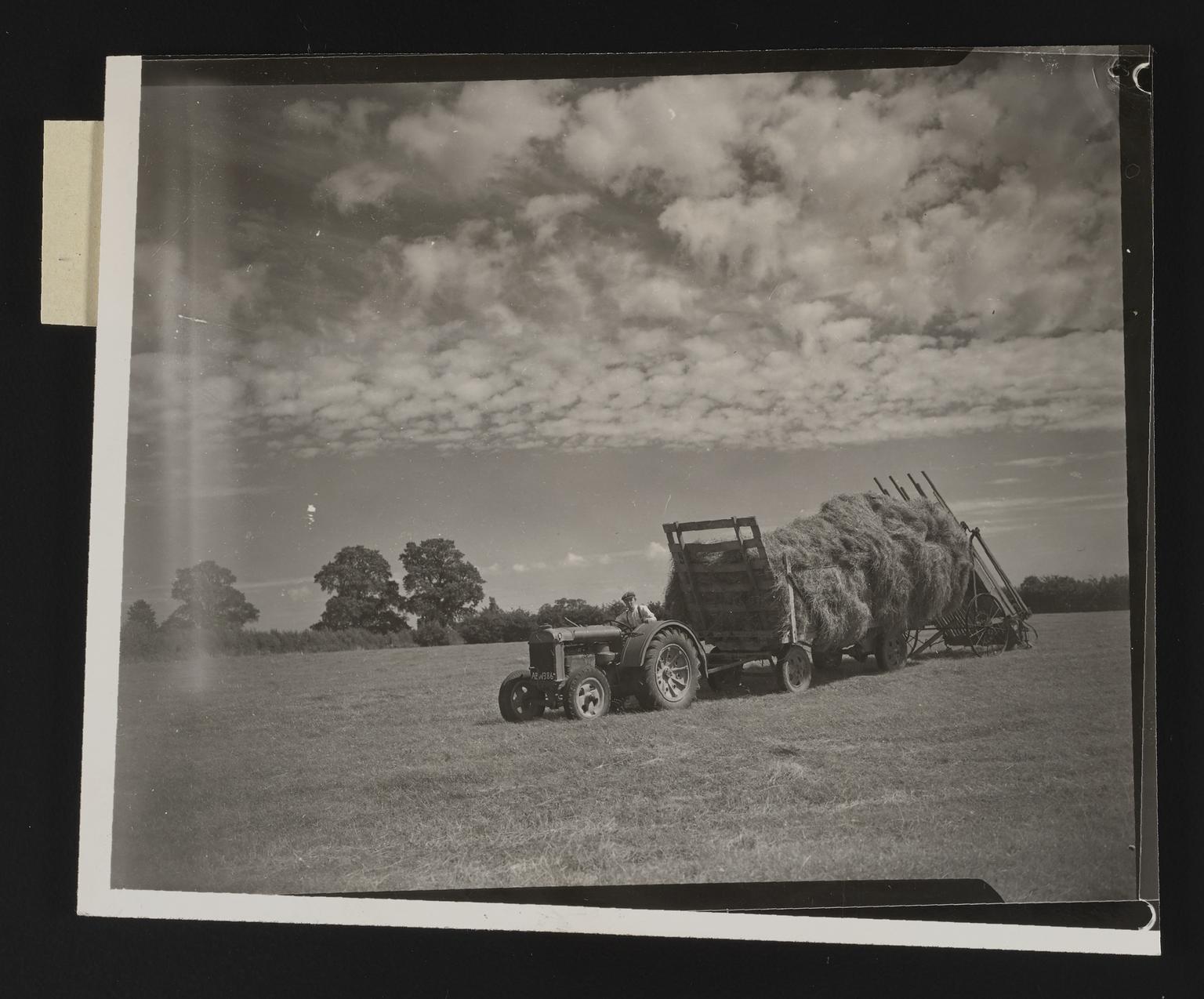A photographic print of Industry, Agriculture, Harvesting - Hay, (Daily ...