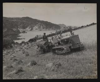 A photographic print of Industry, Agriculture, Harvesting - Grain ...