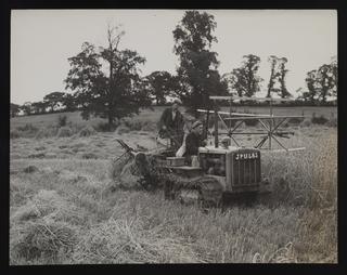 A photographic print of Industry, Agriculture, Harvesting - Grain ...
