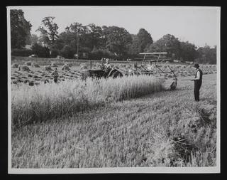 A photographic print of Industry, Agriculture, Harvesting - Grain ...
