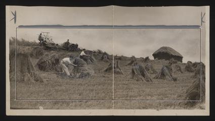 A photographic print of Industry, Agriculture, Harvesting - Hay, (Daily ...