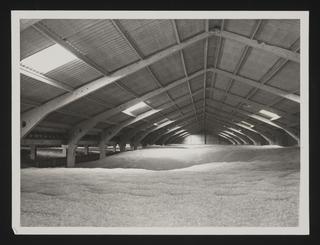 A photographic print of Industry, Agriculture, Grain - Elevators, etc ...