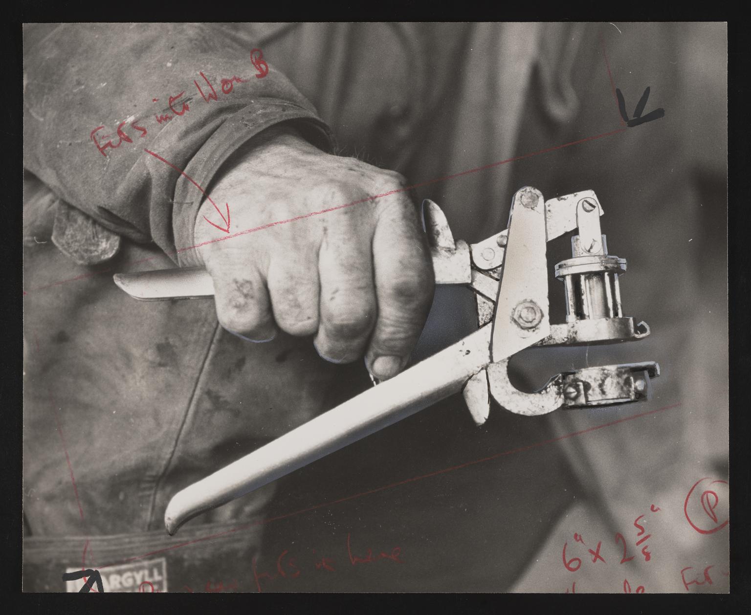 Daily Herald Photograph; Pig Farming, Tool | Science Museum Group ...