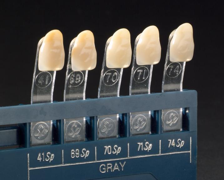 Shade guide for "Myerson's Special" acrylic teeth | Science Museum ...