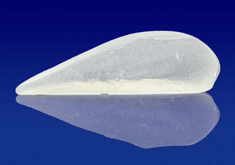 Sample of a CoGel implant, cut in half | Science Museum Group Collection