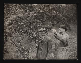 A photographic print of Fruit | Science Museum Group Collection
