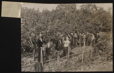 A photographic print of Fruit | Science Museum Group Collection