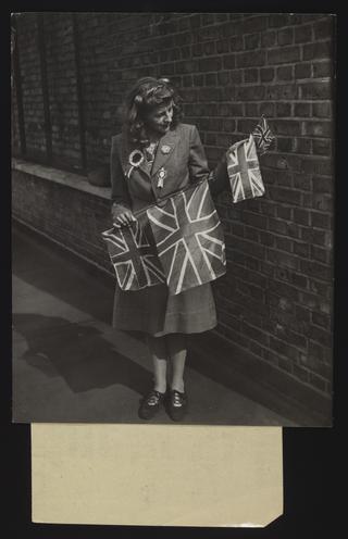 A photographic print of Flags | Science Museum Group Collection