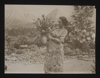 A photographic print of Flowers, General | Science Museum Group Collection