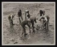 A photographic print of Fishing, Cockles, Mussels, Winkles, etc ...