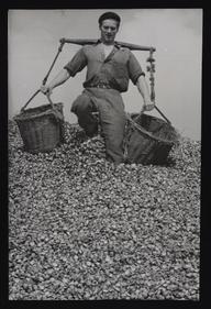 A photographic print of Fishing, Cockles, Mussels, Winkles, etc ...