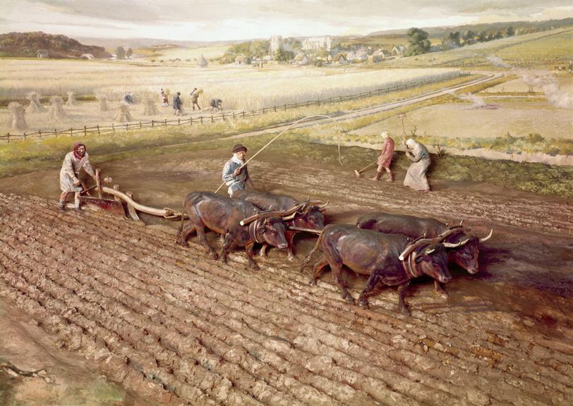Diorama of Medieval Ploughing, 14th Century | Science Museum Group ...