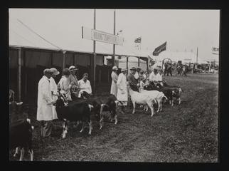 A photographic print of Goats | Science Museum Group Collection