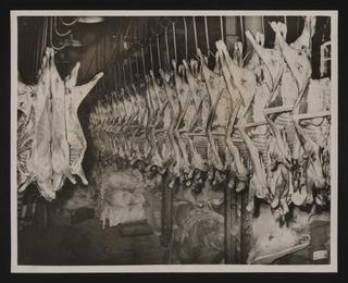 A photographic print of Food & Drink, Meat (including sausages ...