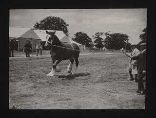 A photographic print of Horse Shoes, General | Science Museum Group ...
