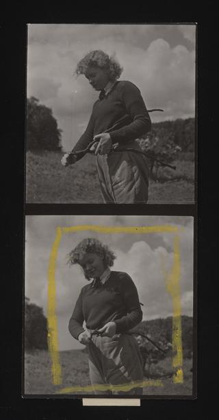 A photographic print of Diviners & Dowsers | Science Museum Group ...